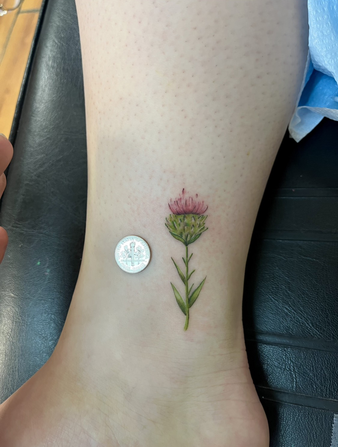 Portfolio Archive - Talon Tattoo Co.